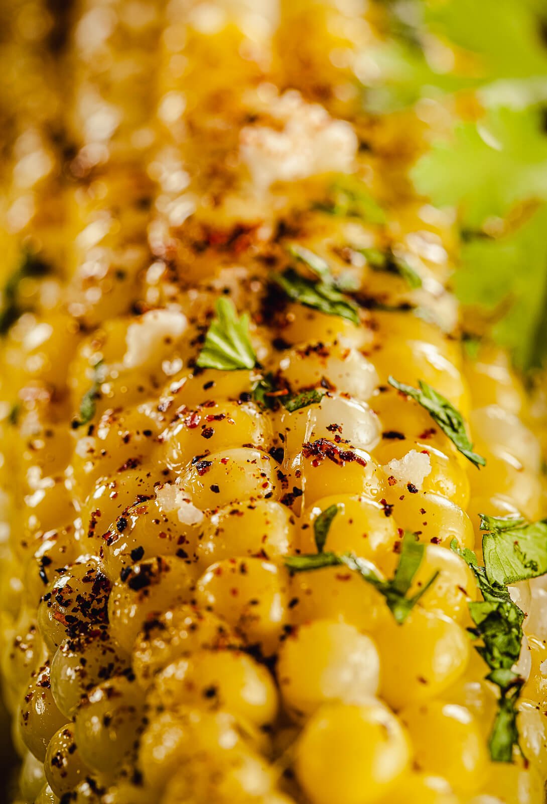 Grilled Mexican Street Corn Recipe