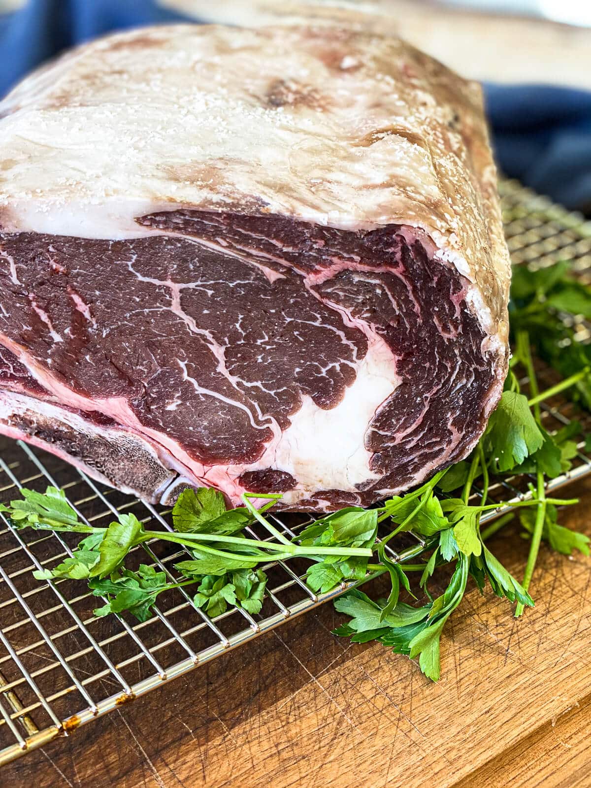 Grilled Prime Rib Roast Recipe - Grillseeker