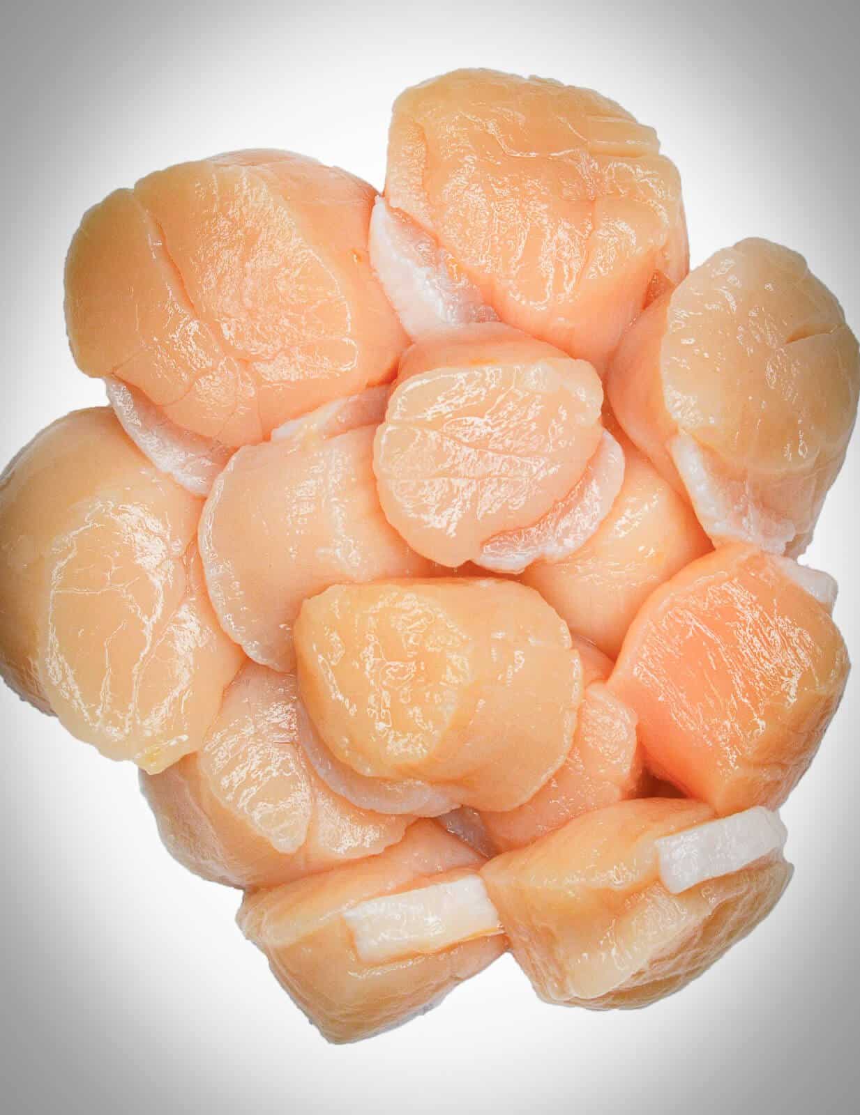 Single Best Tip Ever for Seared Scallops - Grillseeker