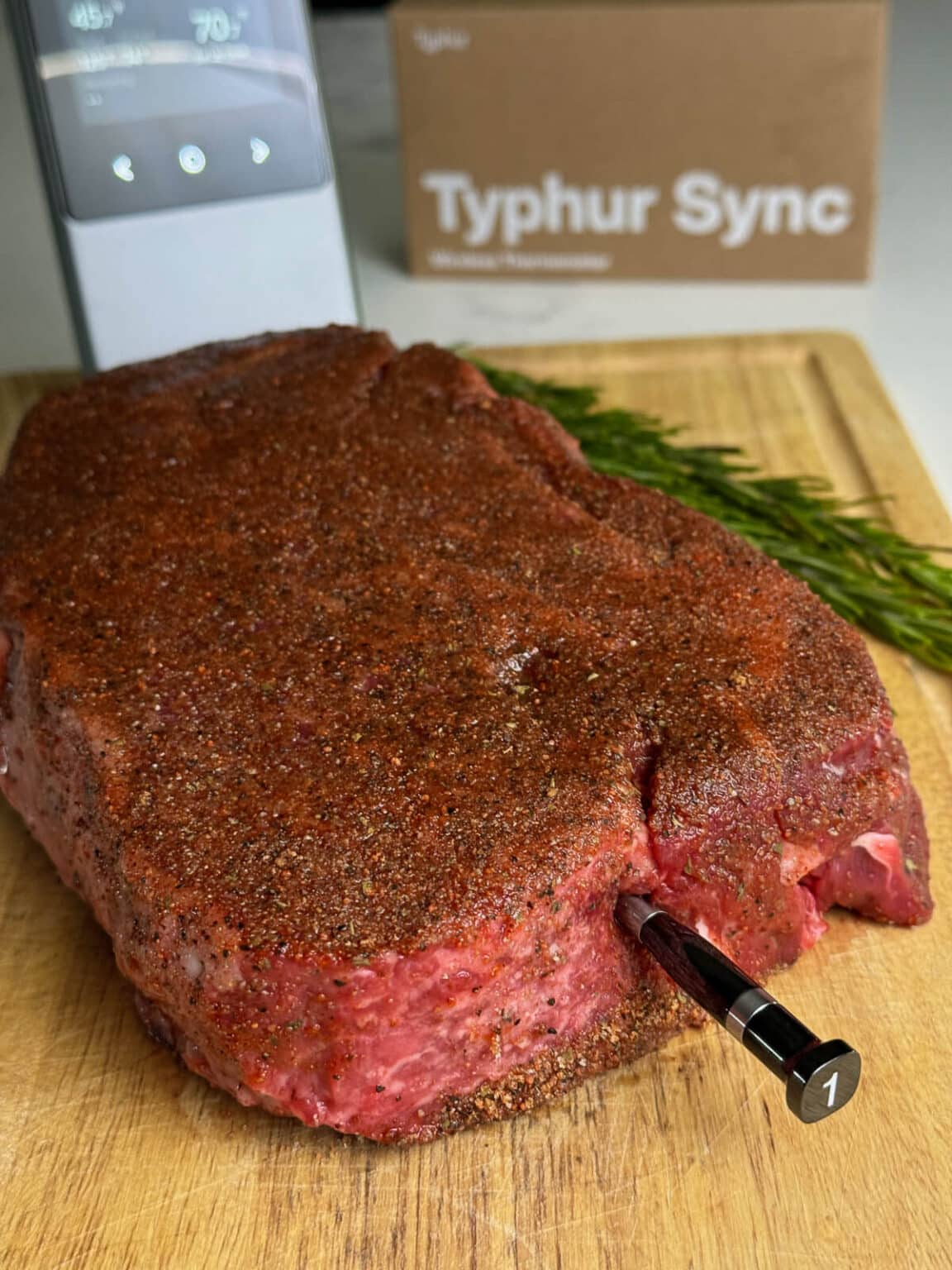 Typhur Sync Review (Dual) - Grillseeker